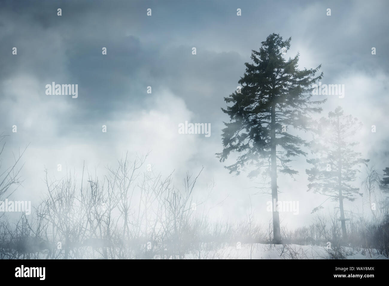 Frozen mist rising in a winter landscape Stock Photo - Alamy