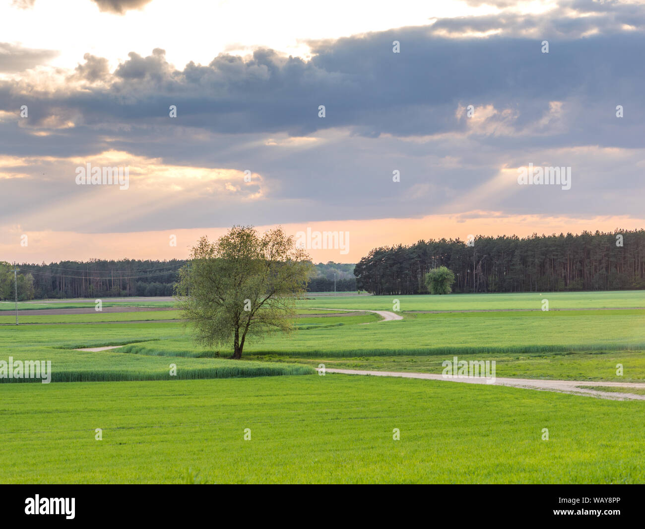 A countryside road during spring time. Podlasie. Podlachia. Poland ...