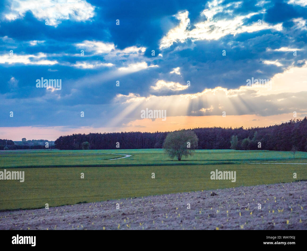 Lea village road hi-res stock photography and images - Alamy