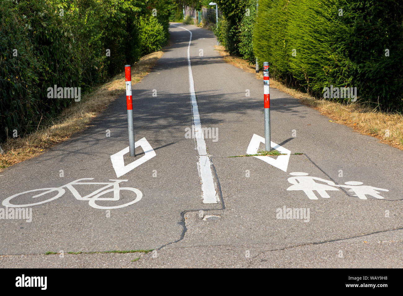 Freiburg im Breisgau, parallel cycle path and footpath, specially ...