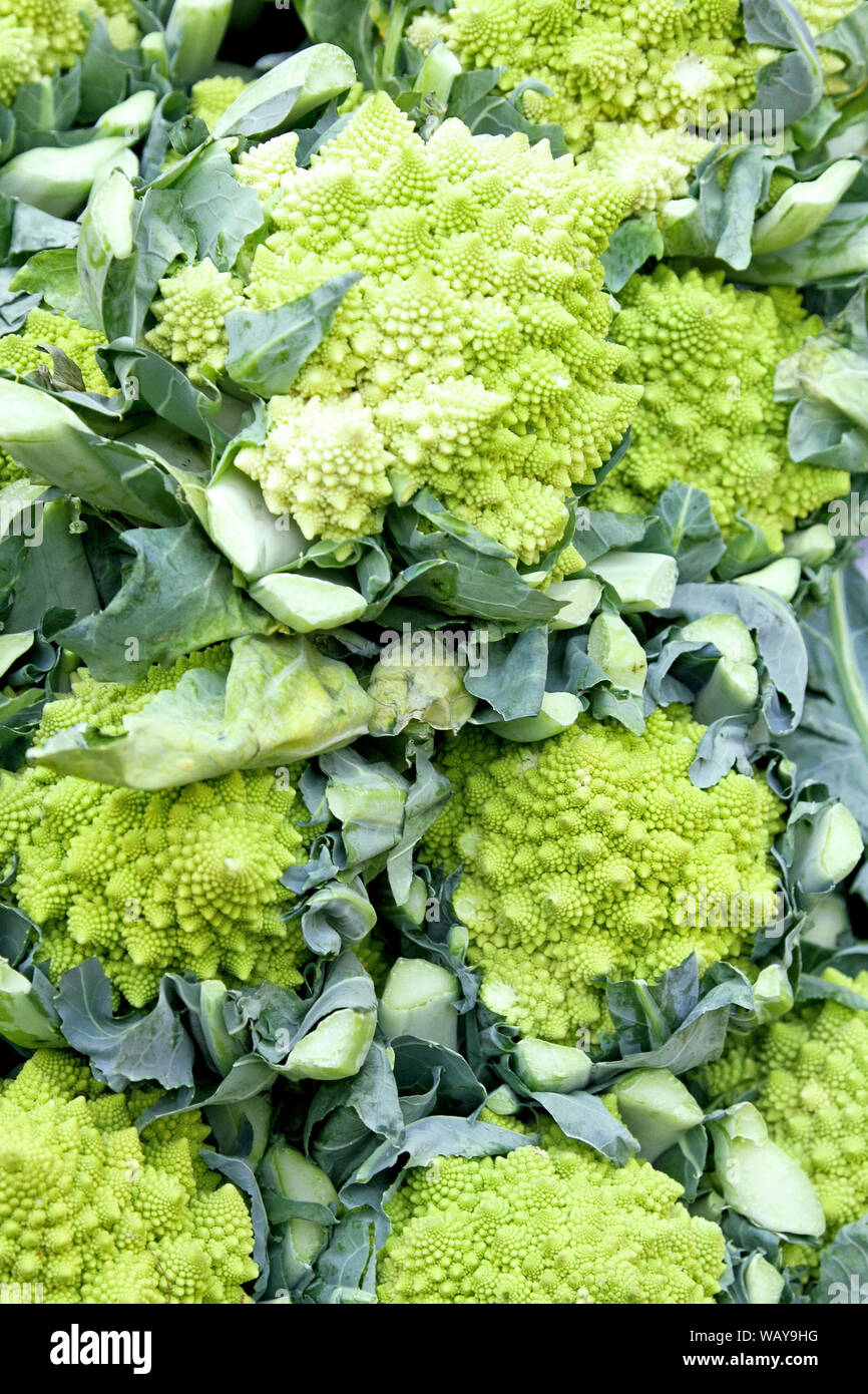 Romanesques hi-res stock photography and images - Alamy