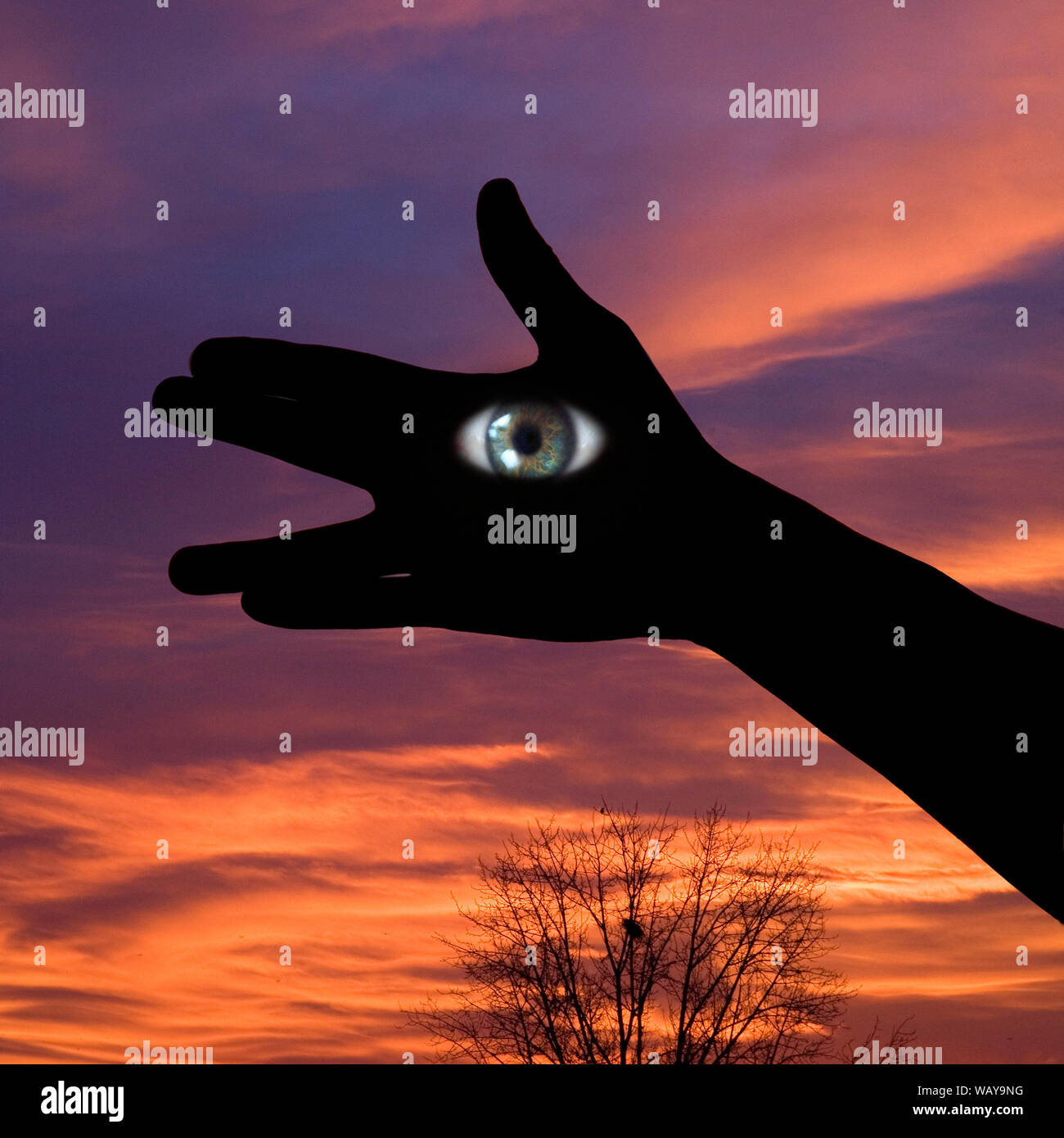 View of Hand with Eye at Sunset Stock Photo - Alamy