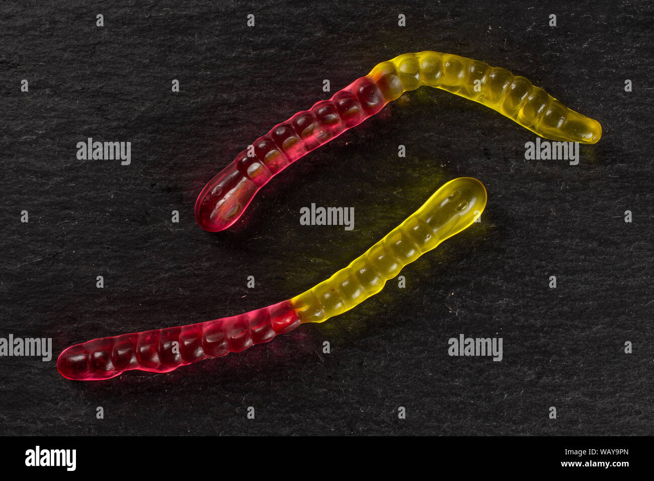 Group of two whole crimson yellow colourful jelly worm candy flatlay on ...