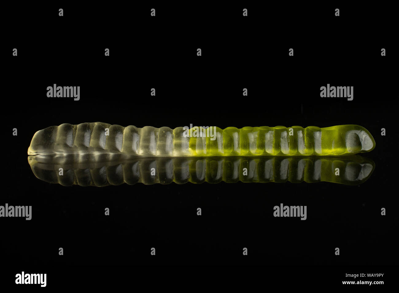 One whole green white colourful jelly worm candy isolated on black ...