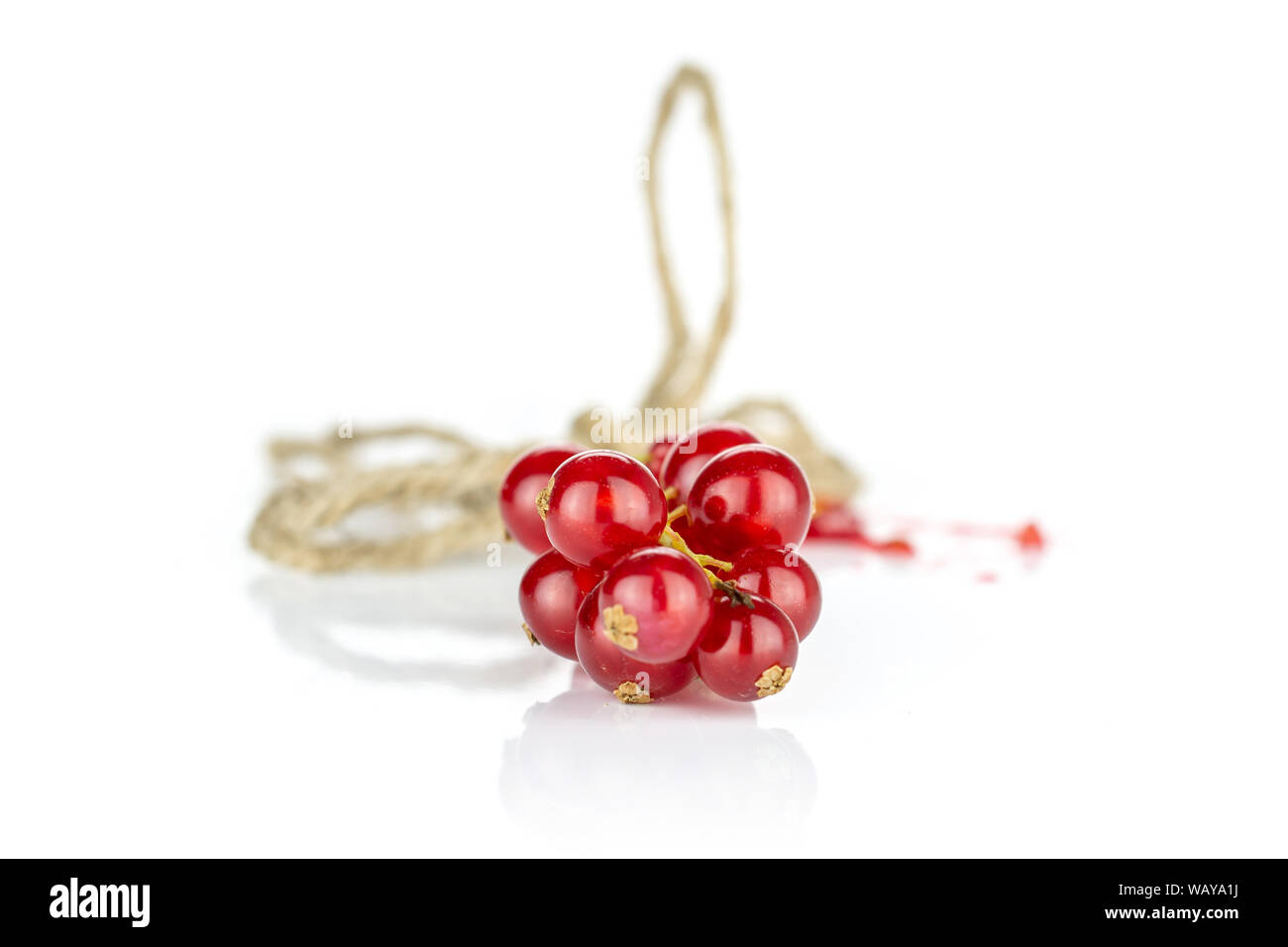 Lot of whole fresh red currant with jute rope isolated on white ...