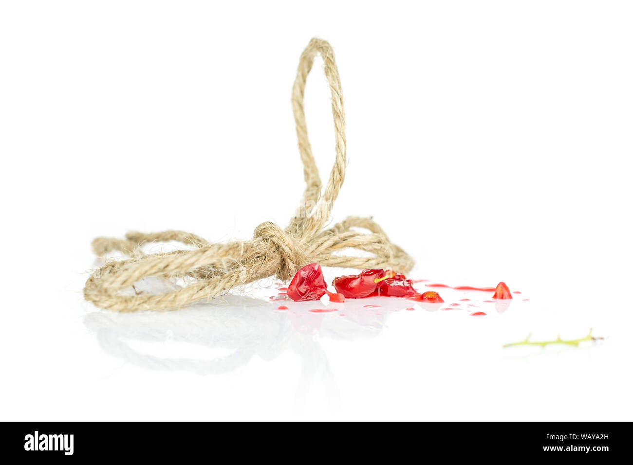 Group of two pieces of fresh red currant with jute rope isolated on ...