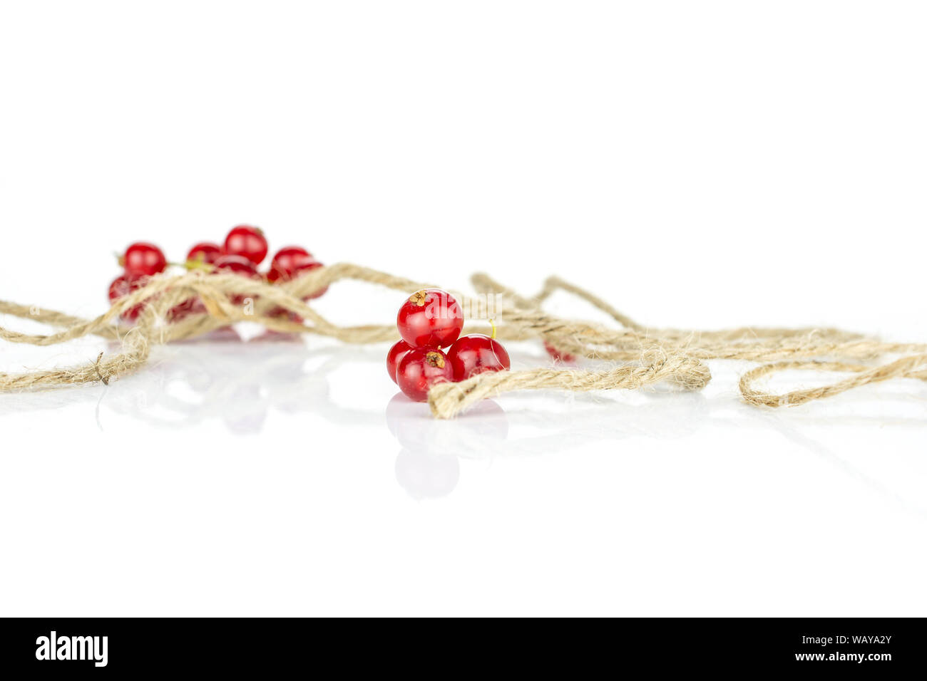 Lot of whole fresh red currant with jute rope isolated on white ...