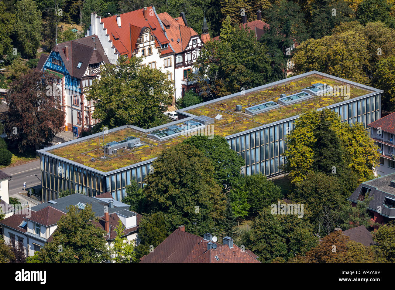 Green German City Roofs