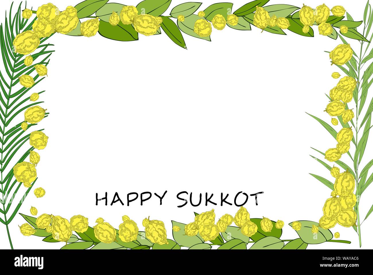 Sukkot Jewish Holiday palm, willow, myrtle leaves frame background ...