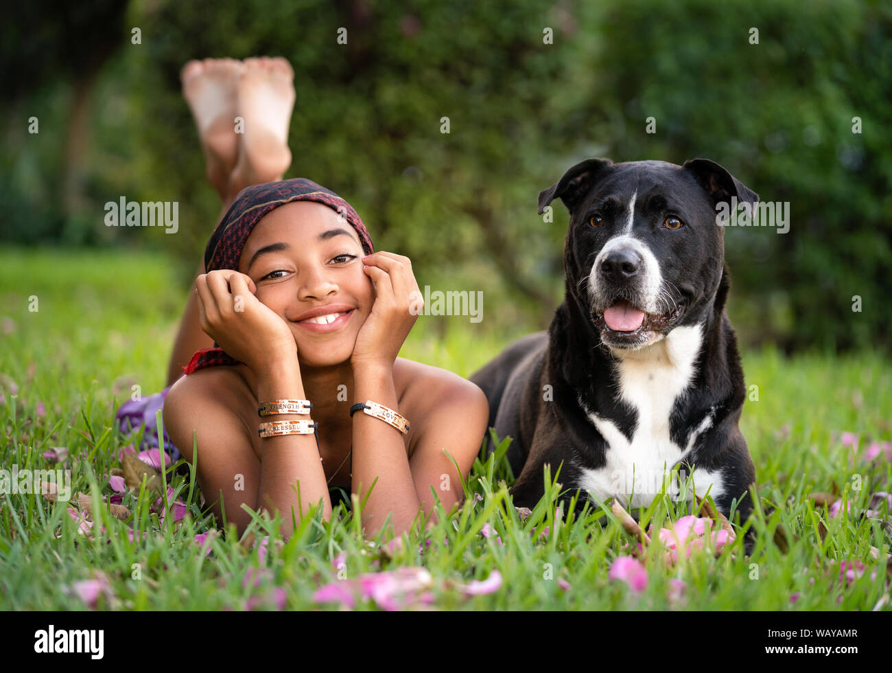 A girl and her dog Stock Photo - Alamy