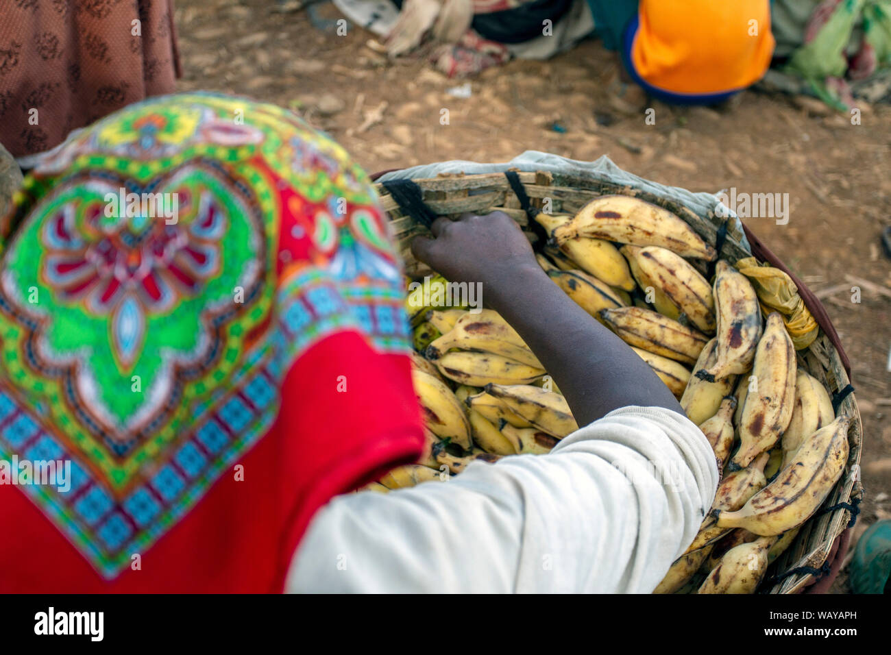 Women selling bananas Chencha market southern Ethiopia Stock Photo - Alamy