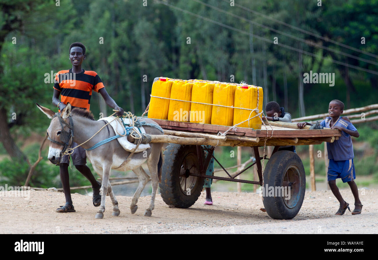 Water in yellow containers carried by donkey cart Ethiopia Stock Photo ...