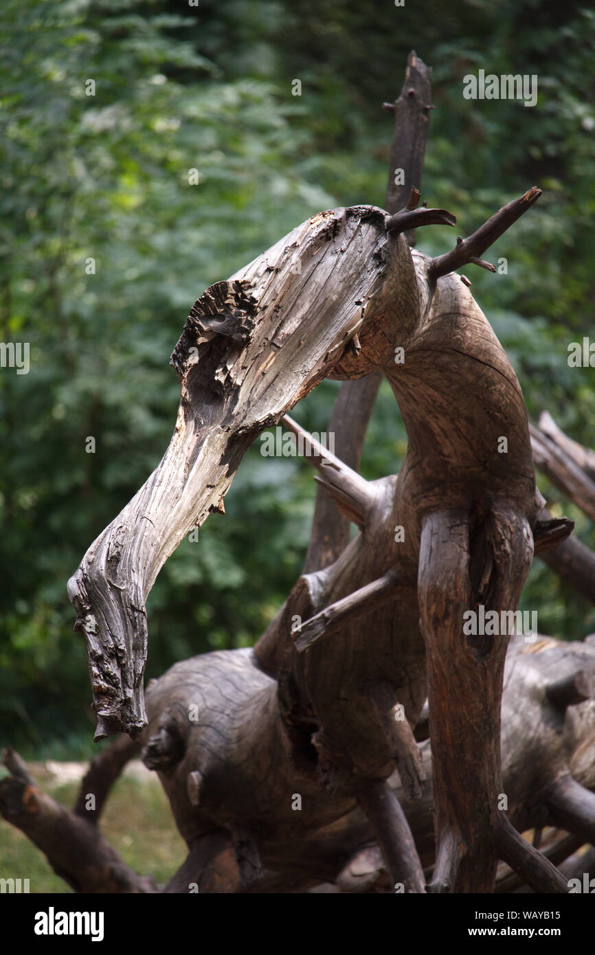 An Isolated Old Gnarly Tree Near a Sidewalk and Palm Trees Stock Photo ...