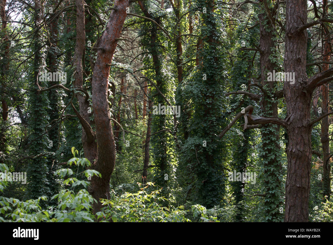 Distorted floor hi-res stock photography and images - Alamy