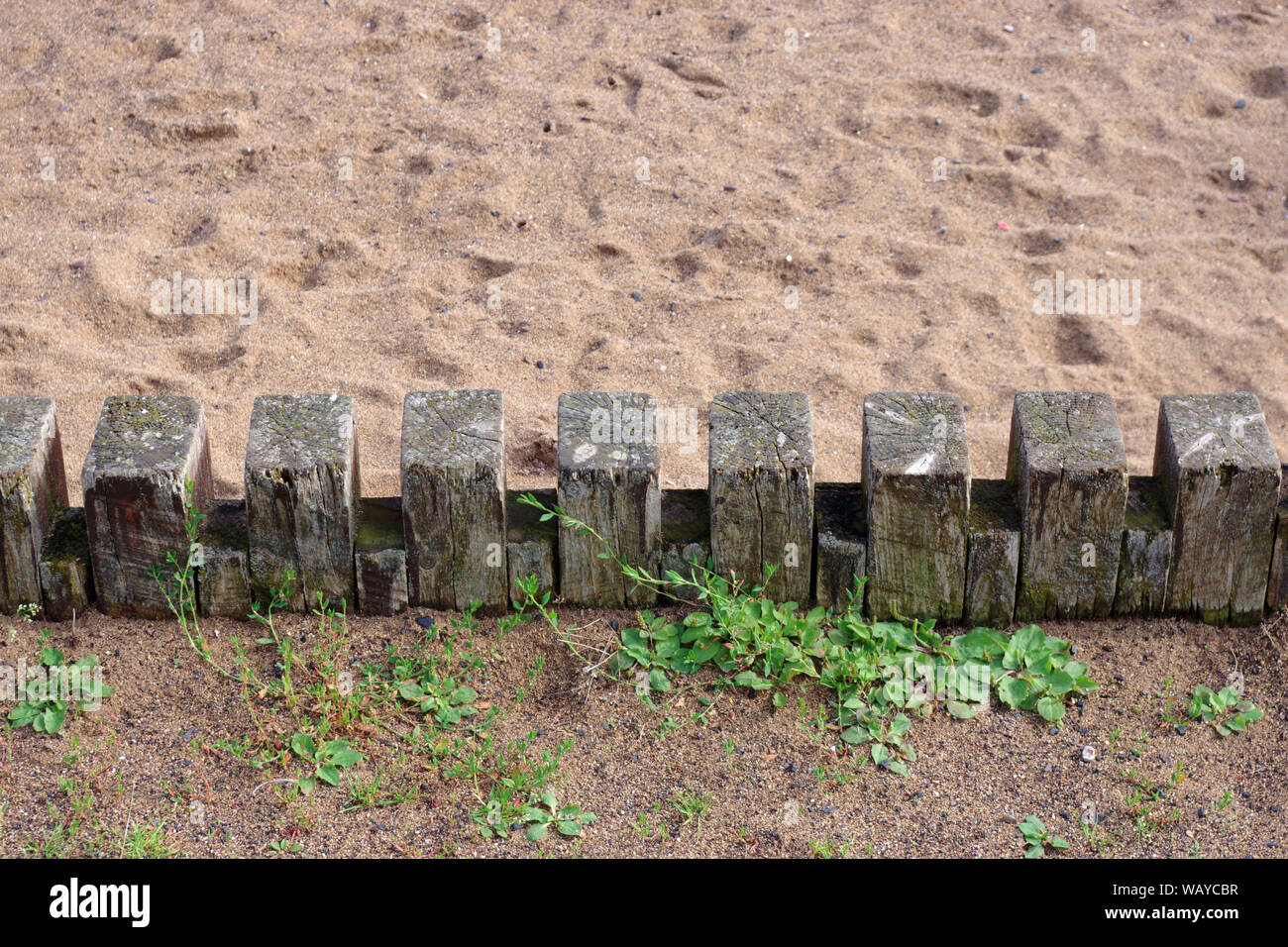 Timber block edging at the playpark Stock Photo - Alamy