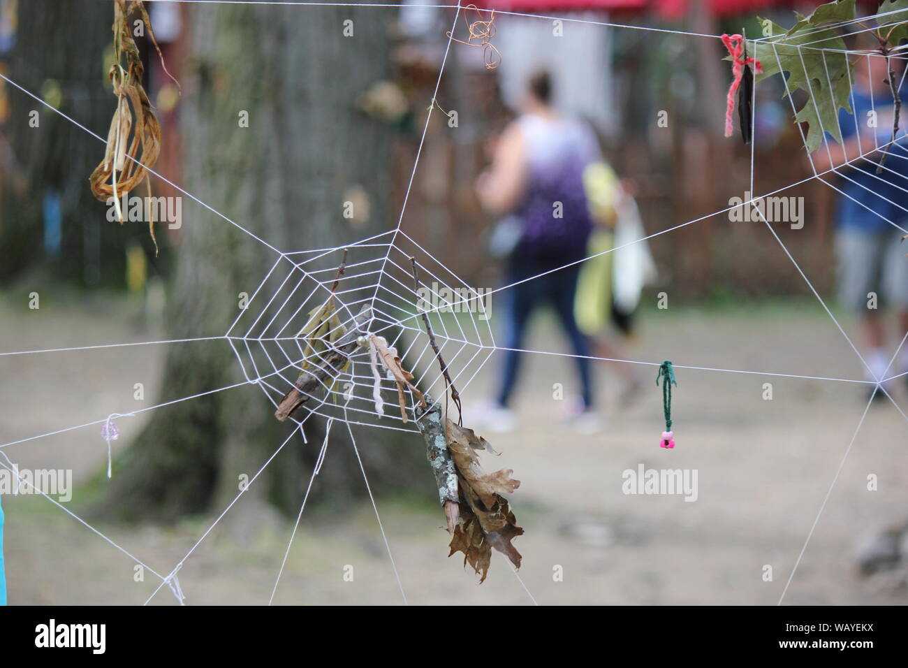 Artificial spider silk hi-res stock photography and images - Alamy