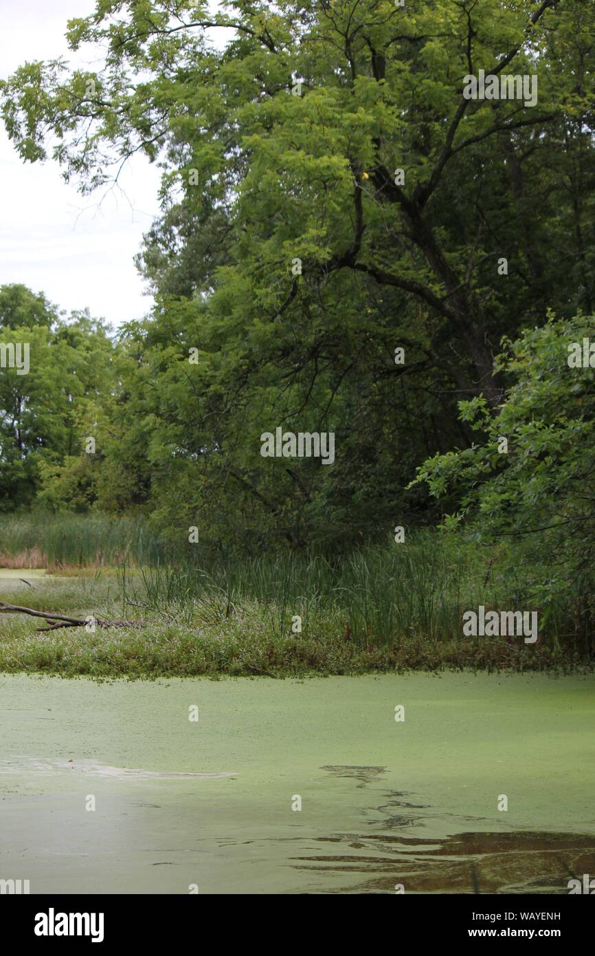 Hidden sluice hi-res stock photography and images - Alamy