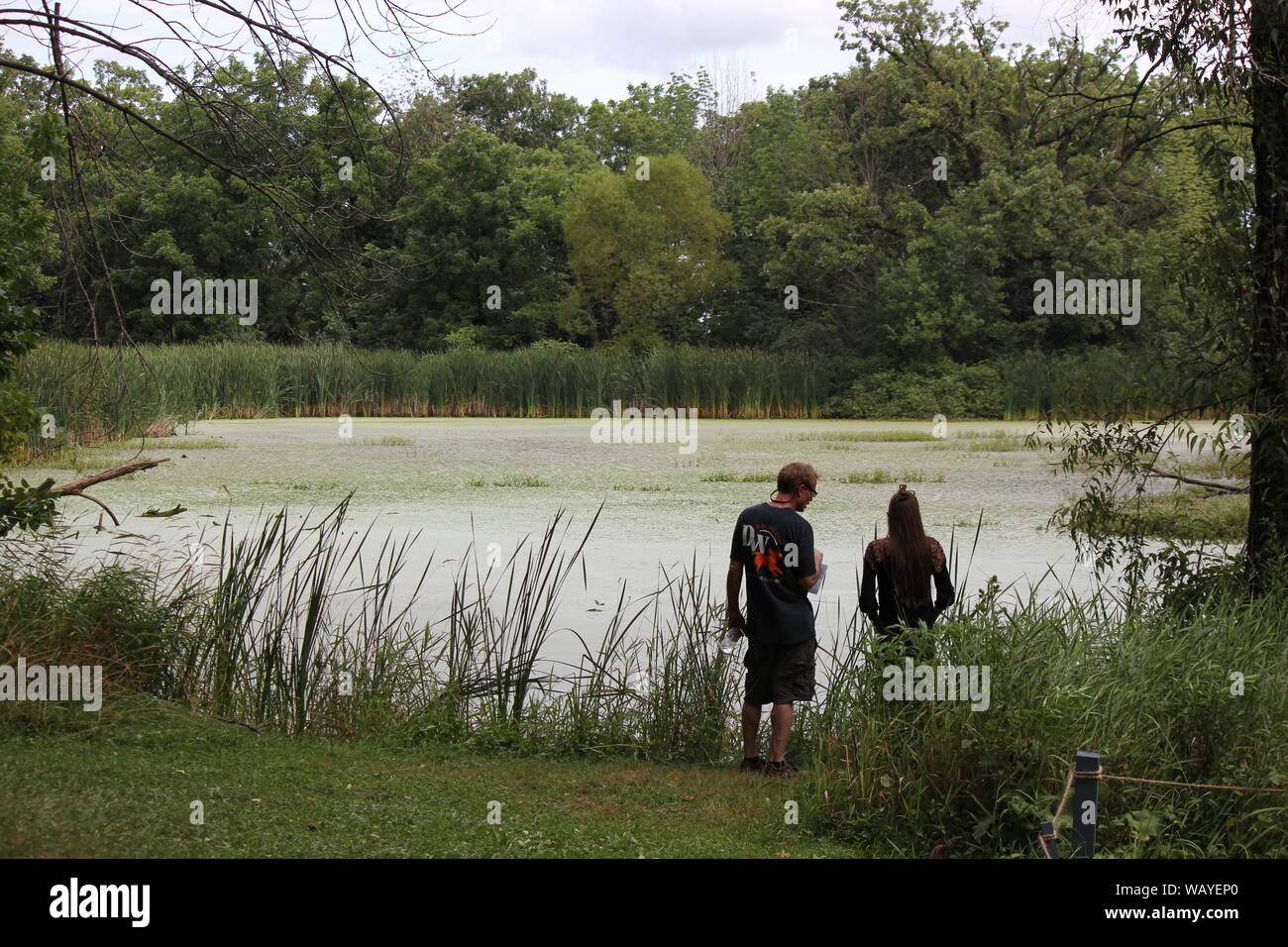A couple enjoying a beautiful hidden lake blooming during the summer ...