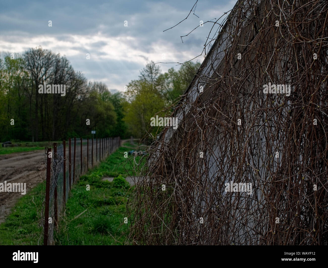 Old dairy farm hi-res stock photography and images - Alamy