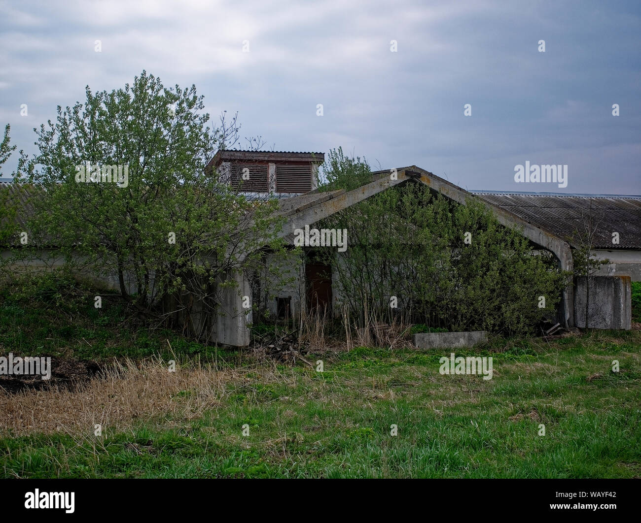 Old dairy farm hi-res stock photography and images - Alamy