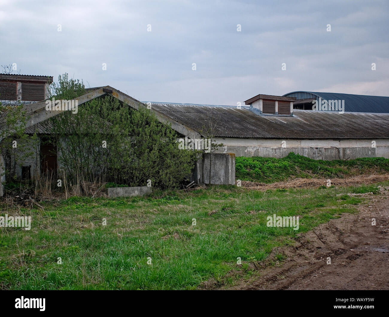 old dairy farm in spring, Russia Stock Photo - Alamy
