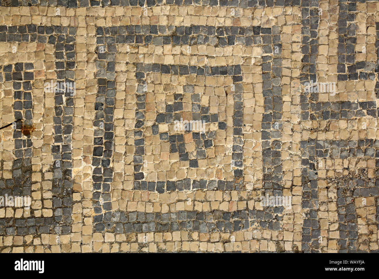 Roman Cardo in Beit She'an National Park. Ruins of ancient city in ...