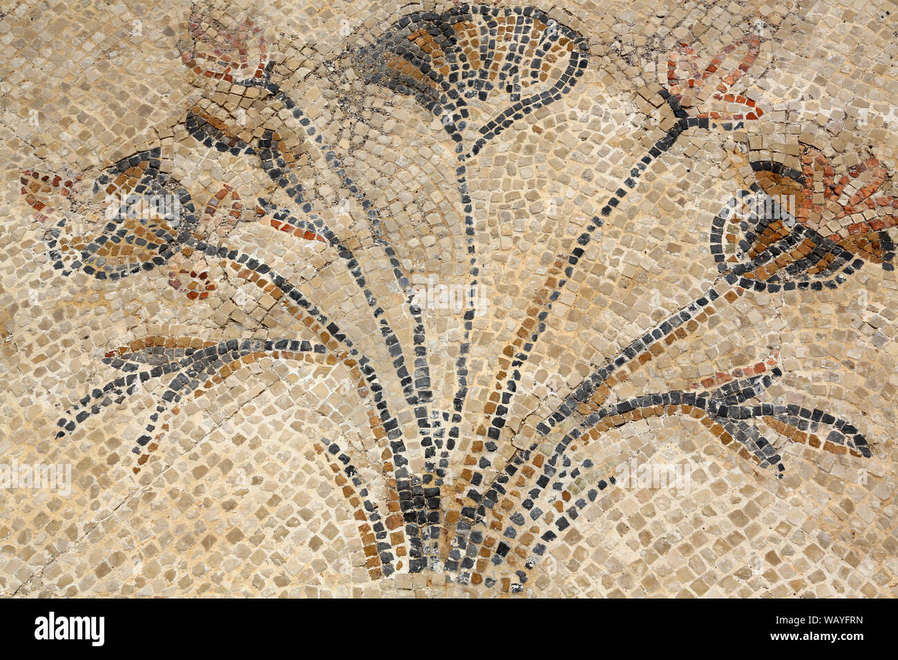 Cardo art hi-res stock photography and images - Alamy