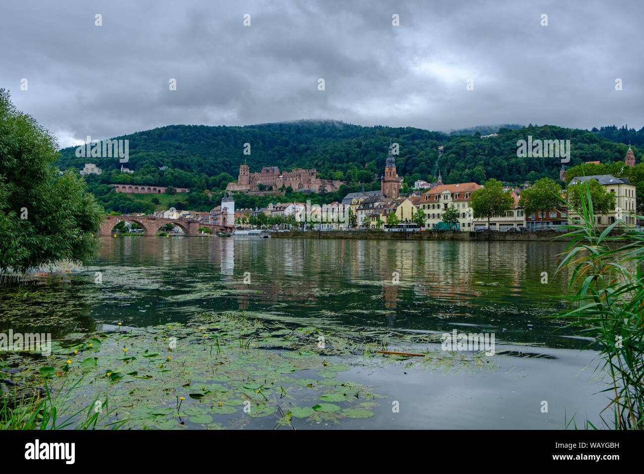 View of the beautiful medieval city of Heidelberg and river Neckar in ...