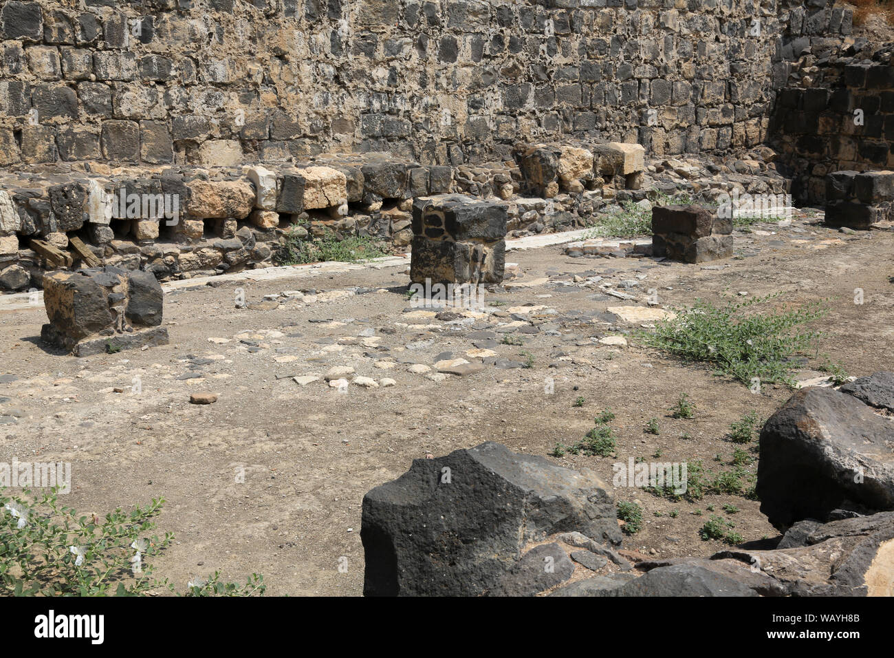 The bathhouse toilets hi-res stock photography and images - Alamy