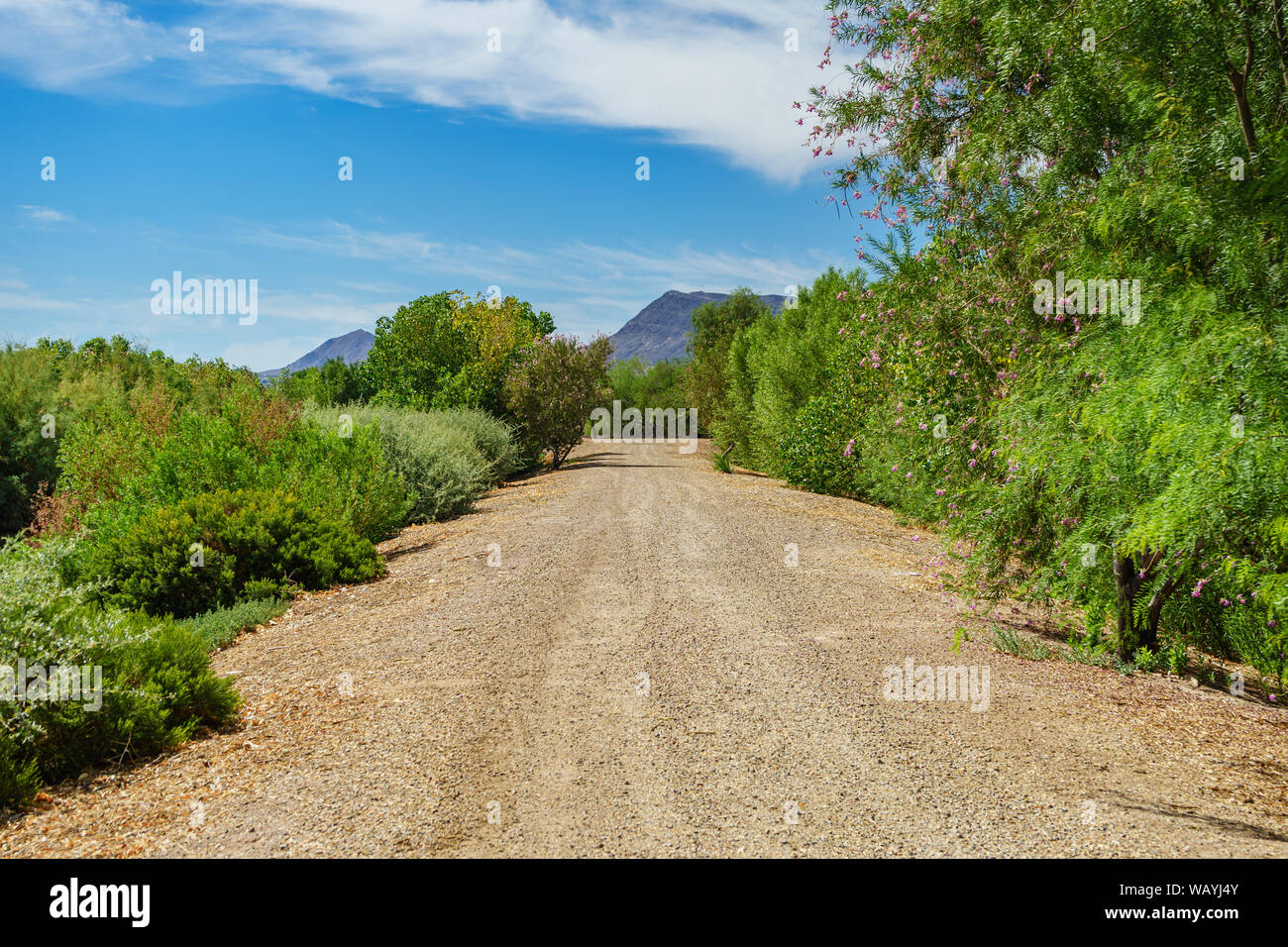 Straight path pathway hi-res stock photography and images - Alamy