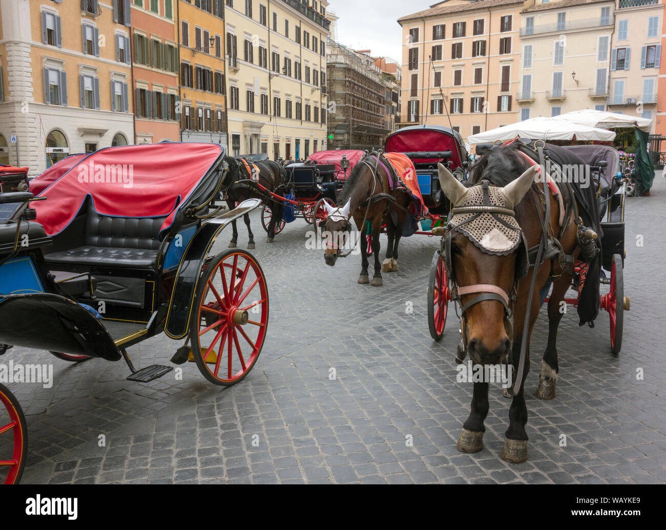 Carriages and horses at the Spanish Steps in Rome, 2019 Stock Photo - Alamy