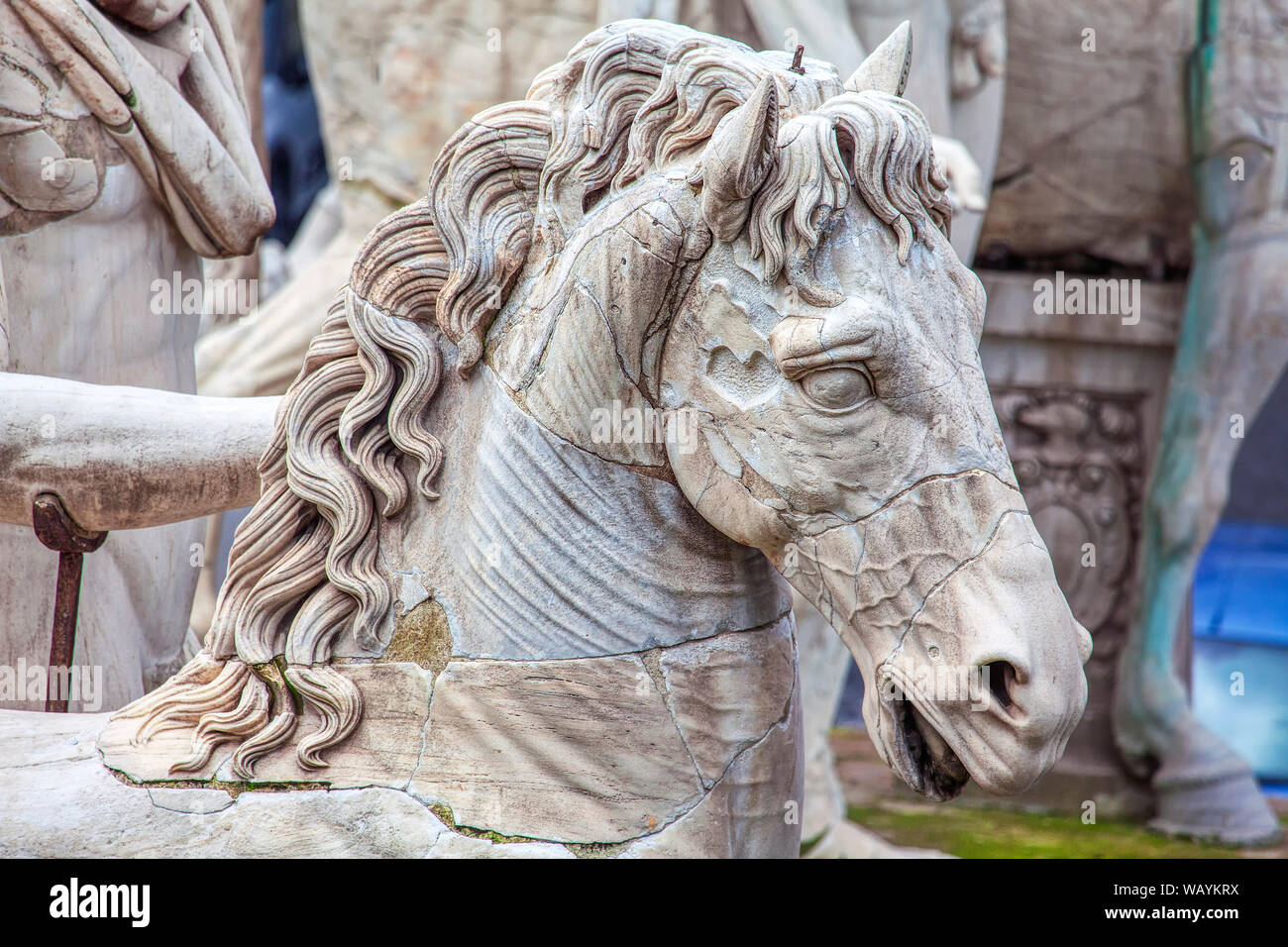 Details of horse sculpture from Capitoline Hill in Rome Stock Photo - Alamy
