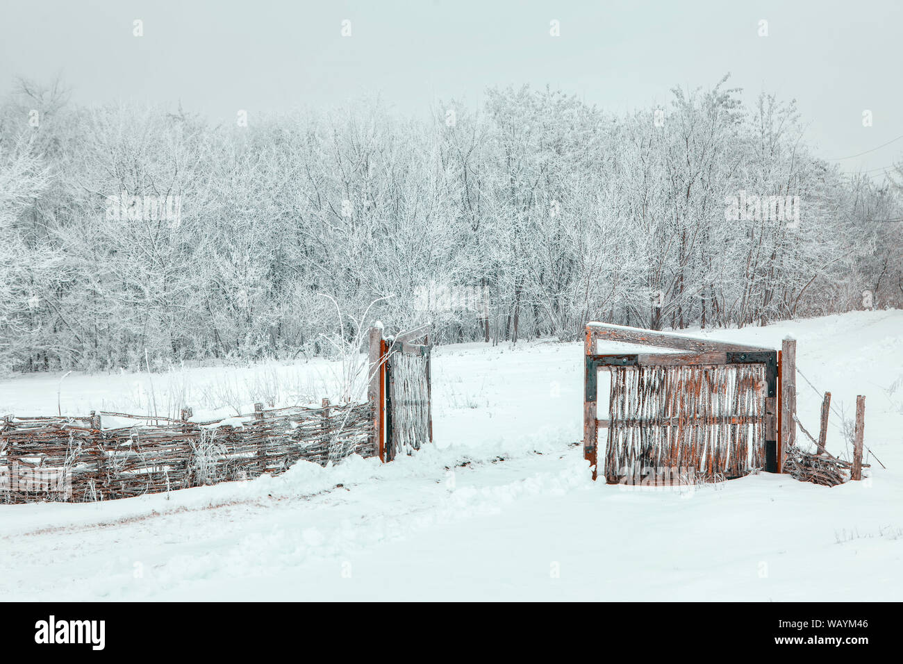 Gate door frozen winter hi-res stock photography and images - Alamy