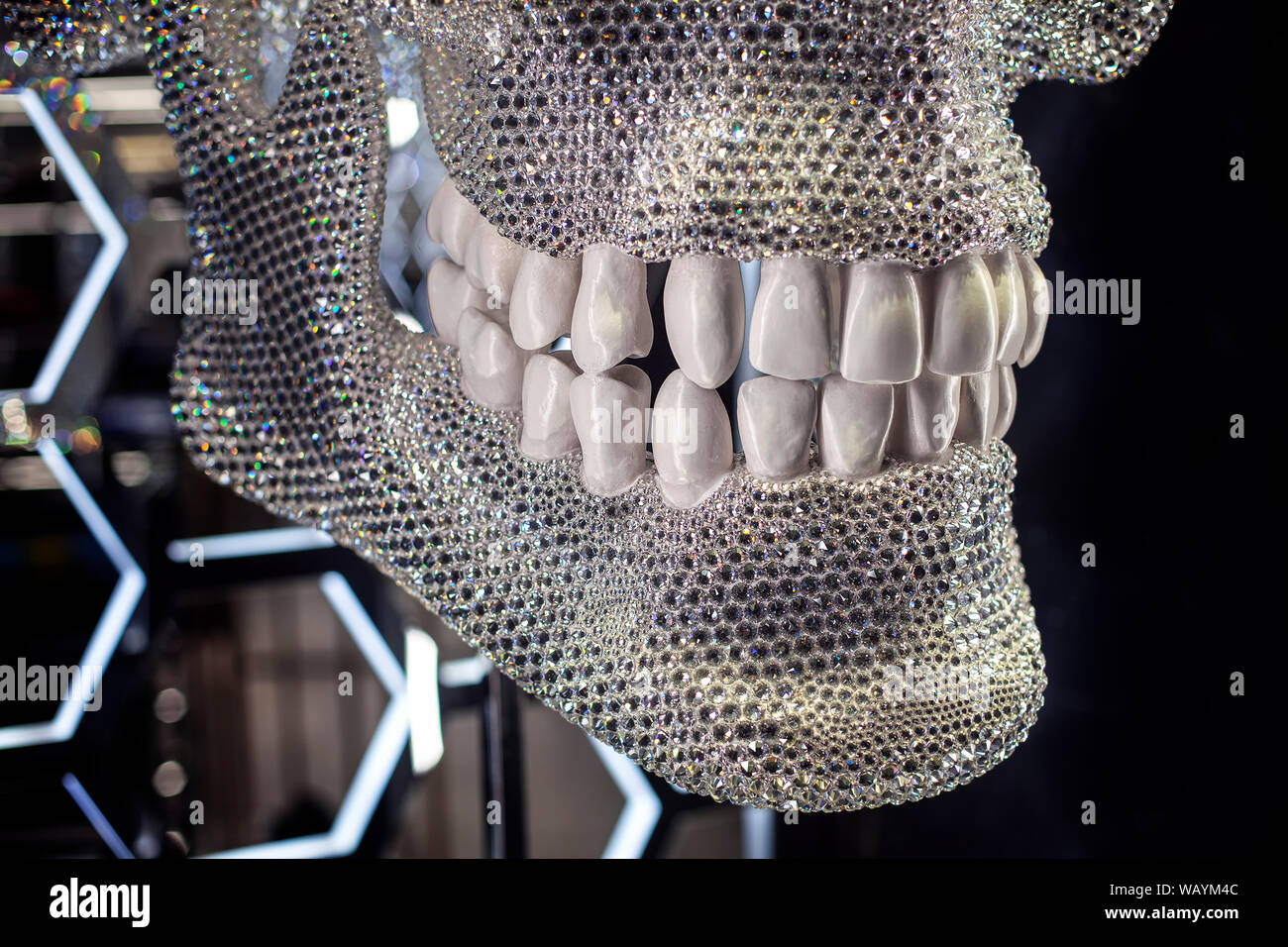 Maxillary teeth hi-res stock photography and images - Alamy
