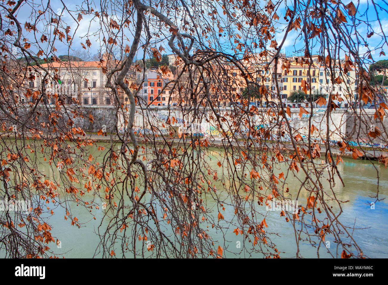 Scenic tiber river flowing hi-res stock photography and images - Alamy