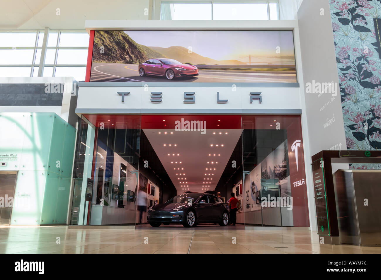 Front of Tesla Store with people mingling about inside with Tesla Model ...