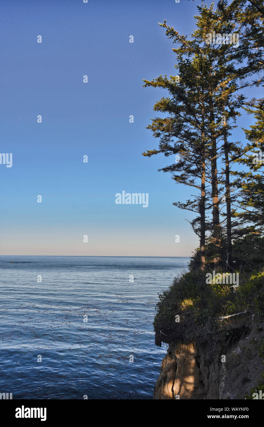 View from the cliffs at Shore Acres State Park, on Cape Arago, near ...
