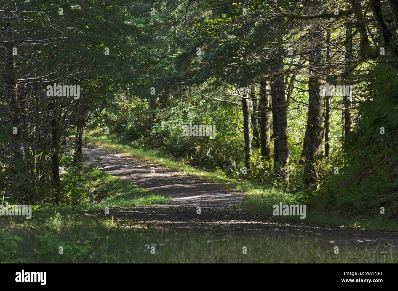 Back road hi-res stock photography and images - Alamy