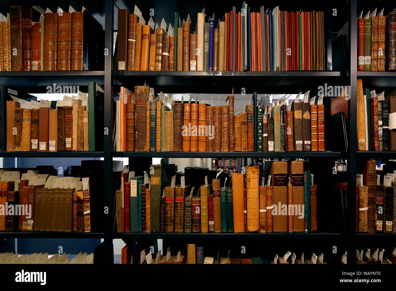 Rare Books On A Shelf At The Beinecke Rare Book And Manuscript Library