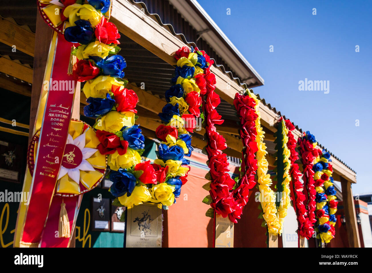 Scottsdale Arabian Horse Show Awards Stock Photo - Alamy