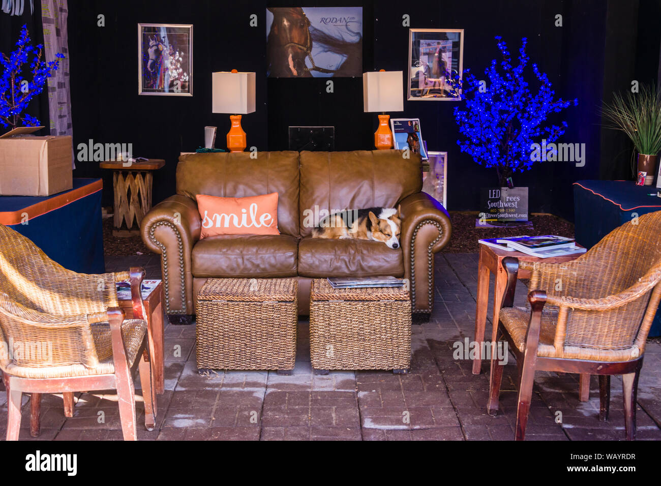 Stamina office hi-res stock photography and images - Alamy