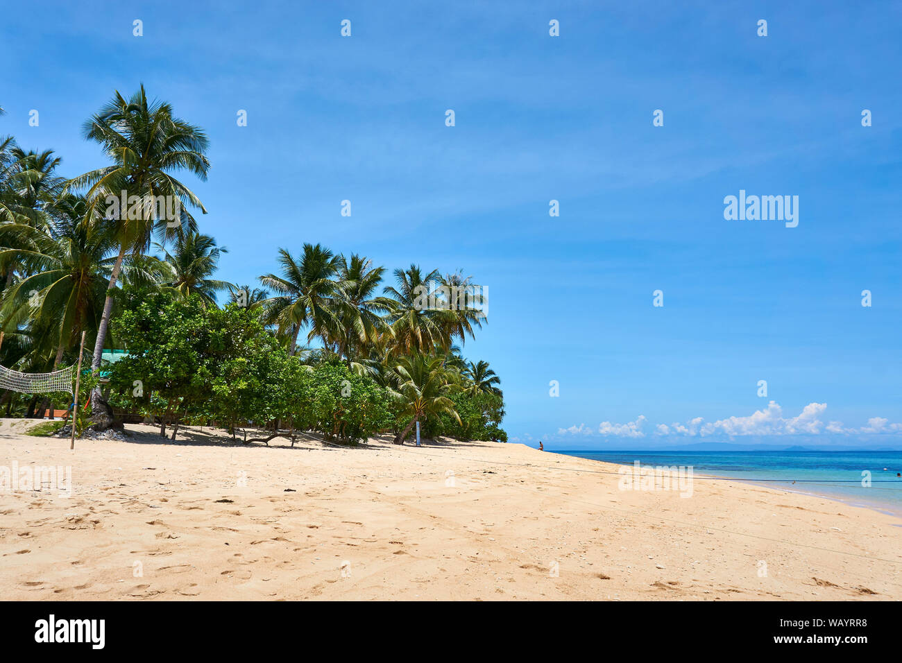 Beach at Tropical Island, Siargao Island Landscape Stock Photo - Alamy