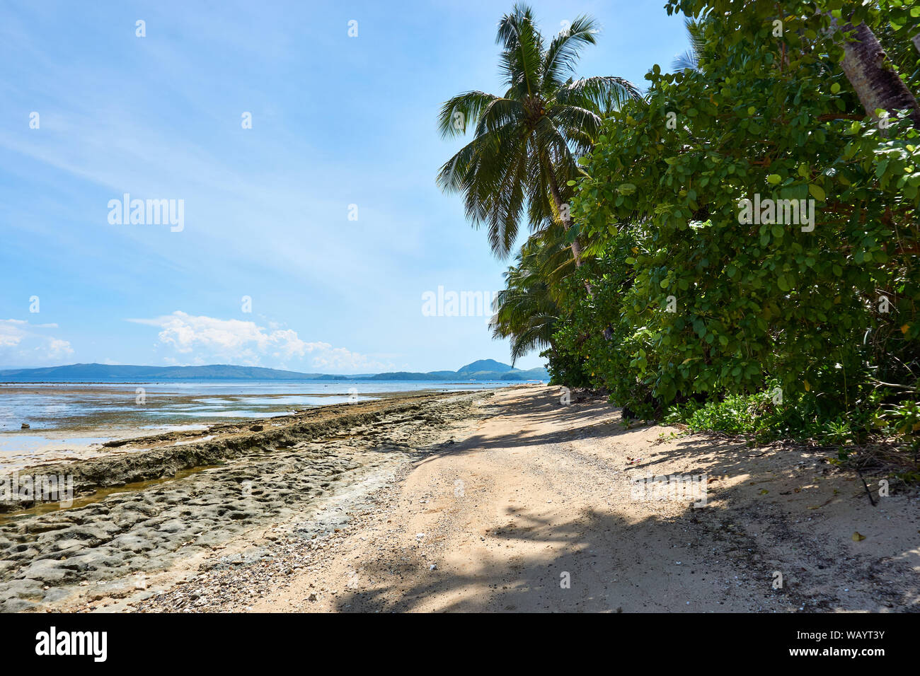 Beach at Tropical Island, Siargao Island Landscape Stock Photo - Alamy