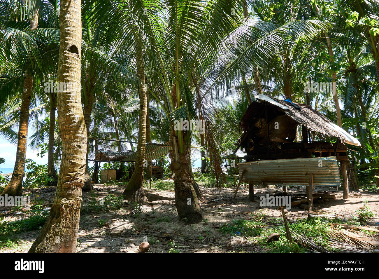 Philippines, Siargao Island, 20.July.2019 Local village at Siargao ...