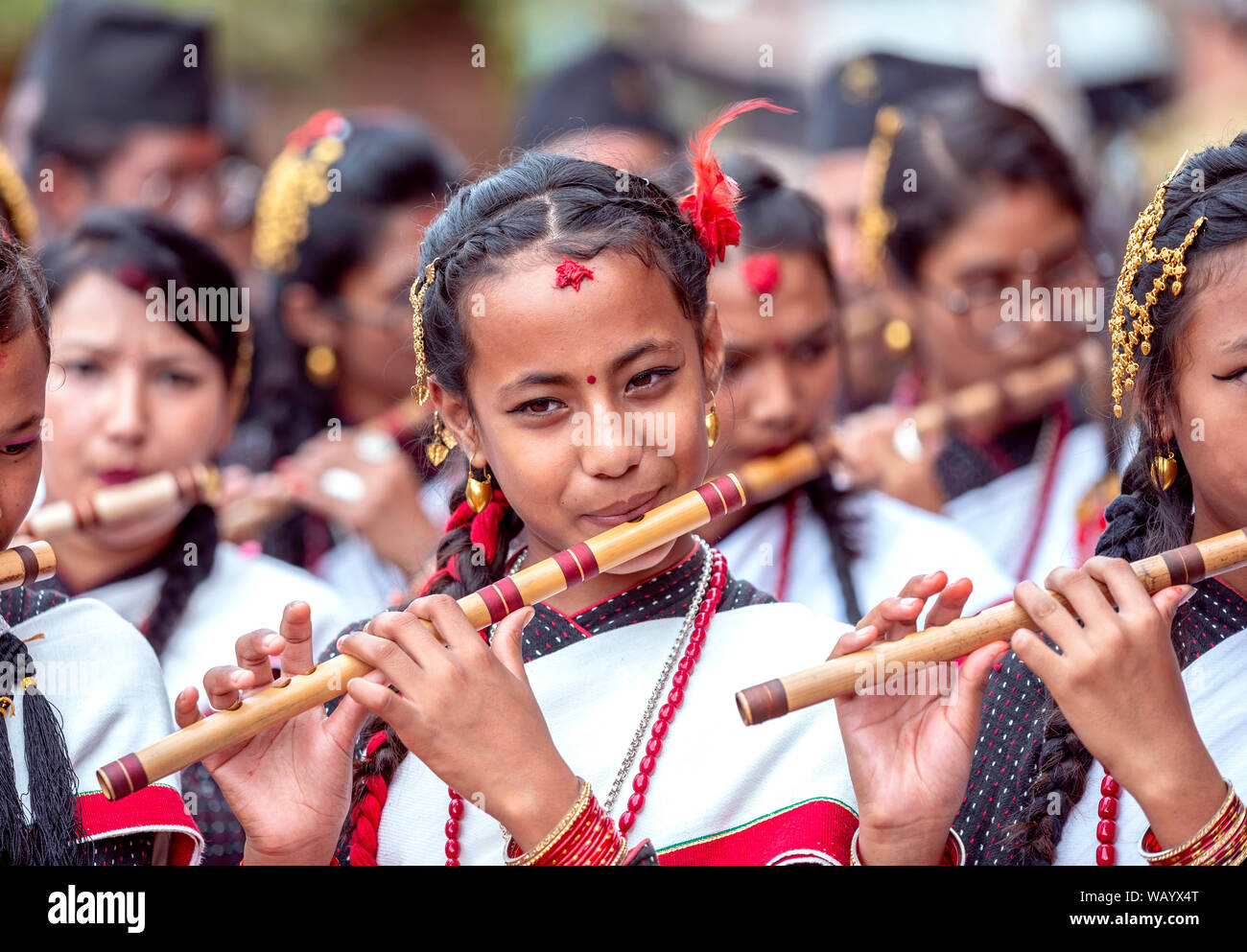 Gai jatra cow hi-res stock photography and images - Alamy