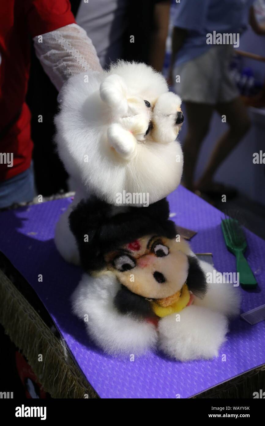 Modelpageant hi-res stock photography and images - Alamy