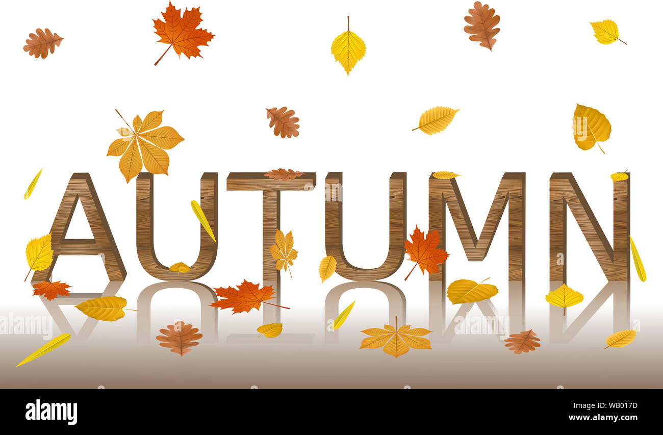 Autumn written and fall leaves background Stock Photo - Alamy