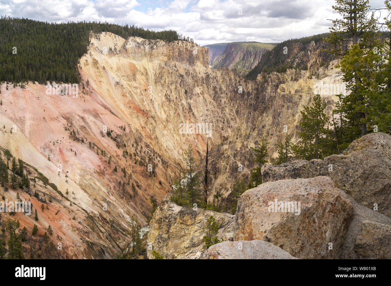 Grand Canyon of the Yellowstone National Park with trees Stock Photo ...
