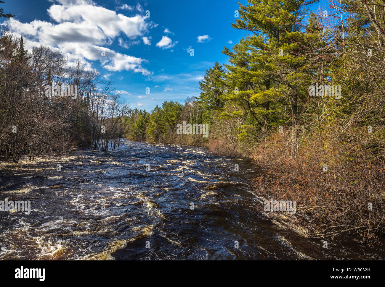 East fork of the Chippewa River in northern Wisconsin Stock Photo - Alamy