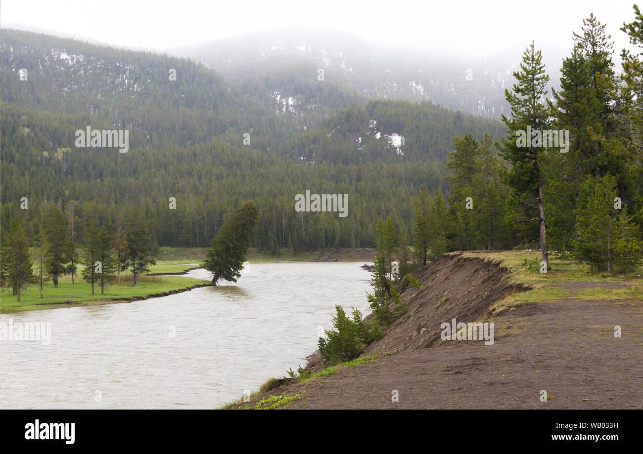 Tree falling in the river hi-res stock photography and images - Alamy